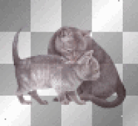 Model behavior GIFs - Get the best gif on GIFER