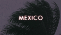 Mexicanos GIFs - Get the best gif on GIFER