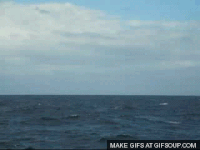 Inicio GIFs - Get the best gif on GIFER