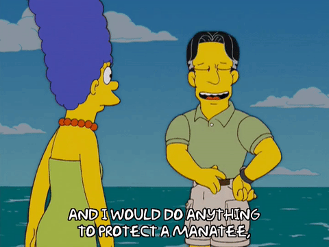 Manatees GIF - Conseguir o melhor gif em GIFER