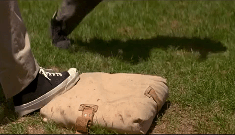 Bases GIF - Conseguir o melhor gif em GIFER