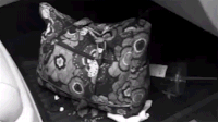 Airbag GIFs - Get the best gif on GIFER