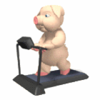 Treadmill GIFs - Get the best gif on GIFER