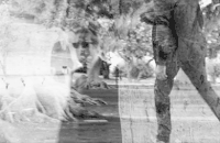 505 GIFs - Get the best gif on GIFER