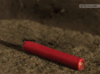 Cracker GIFs - Get the best gif on GIFER