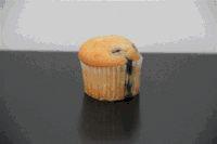 Muffins GIFs - Get the best gif on GIFER