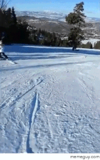 Skier GIFs - Get the best gif on GIFER