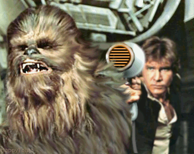 Chewie GIFs - Get the best gif on GIFER