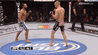 Mma GIFs - Get the best gif on GIFER