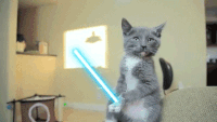 Jedi GIFs - Get the best gif on GIFER