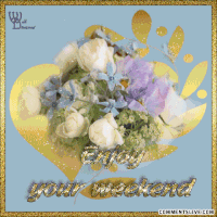 Splendid GIFs - Get the best gif on GIFER