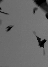 Goth GIFs - Get the best gif on GIFER