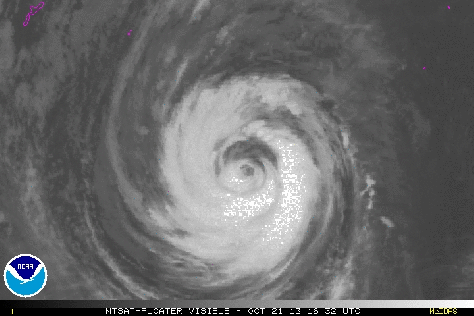 Noaa GIFs - Get the best gif on GIFER