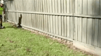 Hoverboards GIFs - Get the best gif on GIFER