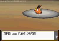 Tepig GIFs - Get the best gif on GIFER