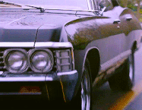 Impala GIFs - Get the best gif on GIFER