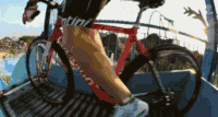 Bicycling GIFs - Get the best gif on GIFER
