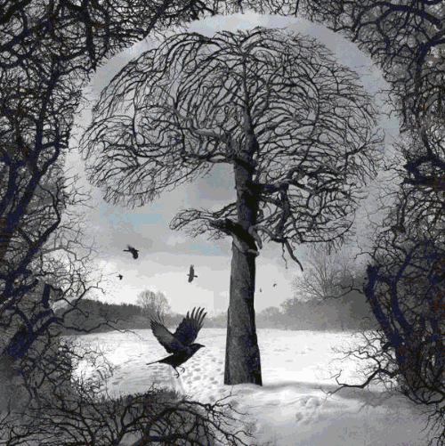 Humanity GIFs - Get the best gif on GIFER