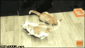 Egoista GIF - Conseguir el mejor gif en GIFER