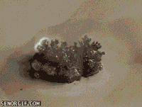 Lithium GIFs - Get the best gif on GIFER