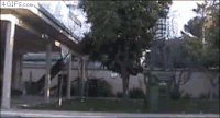 Garbage GIFs - Get the best gif on GIFER