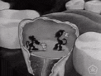 Toothache GIFs - Get the best gif on GIFER