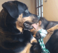 Vas GIFs - Get the best gif on GIFER