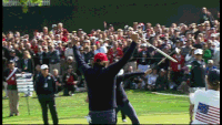 Caddy GIFs - Get the best gif on GIFER
