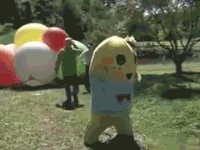 Pear GIFs - Get the best gif on GIFER