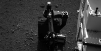 Curiosity GIFs - Get the best gif on GIFER