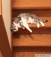 Climbs stairs GIFs - Get the best gif on GIFER
