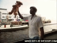 Seattle GIFs - Get the best gif on GIFER