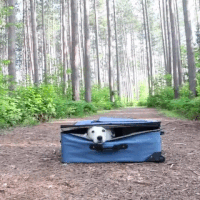 Screw GIFs - Get the best gif on GIFER