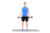 Bicep GIFs - Get the best gif on GIFER