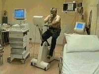 Testing GIFs - Get the best gif on GIFER