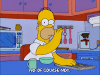 Obvious GIFs - Get the best gif on GIFER