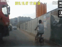 Assurance GIFs - Get the best gif on GIFER