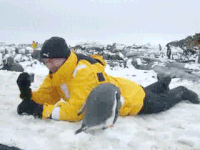 Inquisitive GIFs - Get the best gif on GIFER