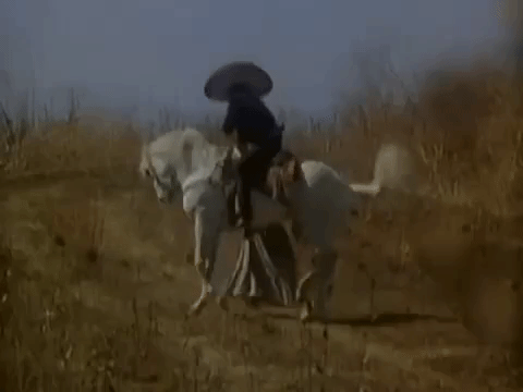 Ranchero GIFs - Get the best gif on GIFER