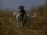 Ranchero GIFs - Get the best gif on GIFER