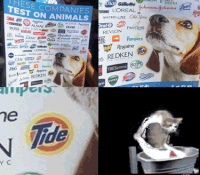 Essai GIFs - Get the best gif on GIFER