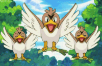 Pokedex GIFs - Get the best gif on GIFER