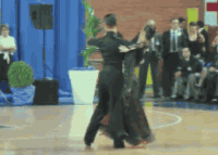 Standard GIFs - Get the best gif on GIFER