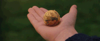 Snitching GIFs - Get the best gif on GIFER