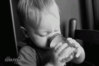 Smelling GIFs - Get the best gif on GIFER