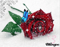 Roses GIFs - Get the best gif on GIFER