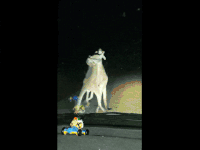 Headlock GIFs - Get the best gif on GIFER