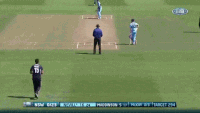 Cricket GIFs - Get the best gif on GIFER