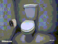 Toilettes GIFs - Get the best gif on GIFER