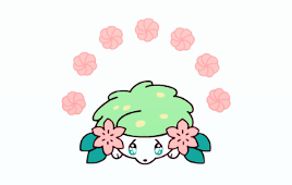 Go falcons GIF - Conseguir o melhor gif em GIFER